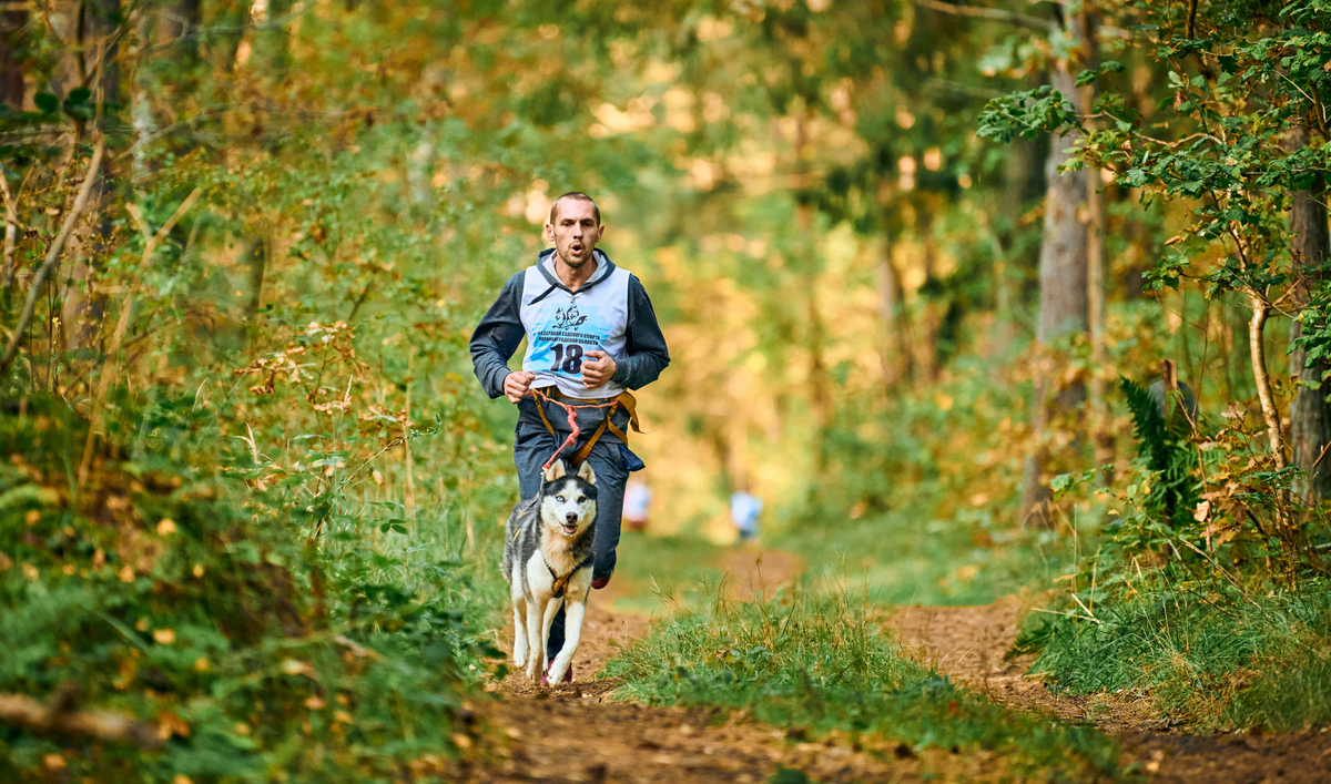Tips for Trail Running with Your Dog – Dr Woow